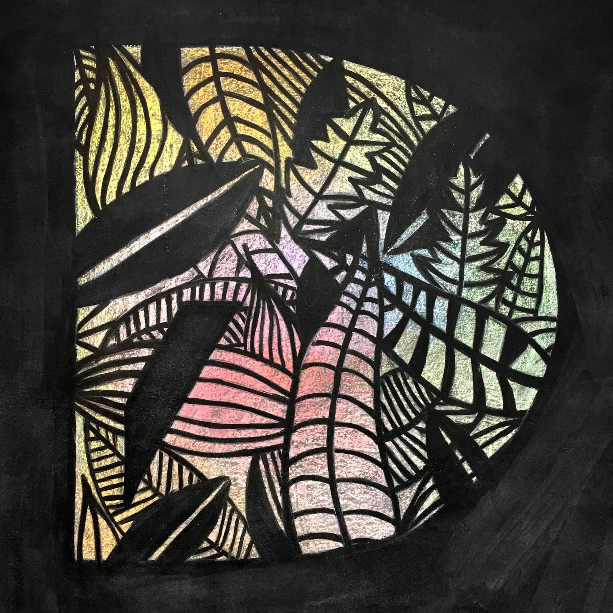 rafaela lucas / portfolio